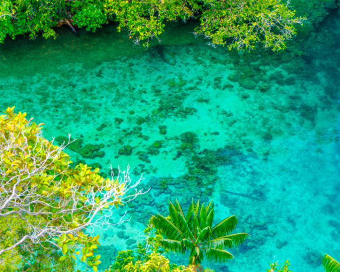 NRM HUB – THE UNDP PAPUA NEW GUINEA – NATURAL RESOURCE MANAGEMENT HUB